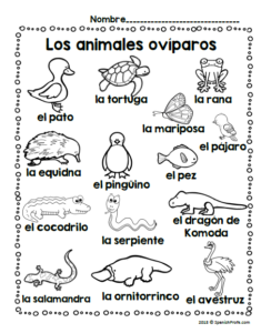 Los animales oviparos (Oviparous Animals in Spanish) - Spanish Profe